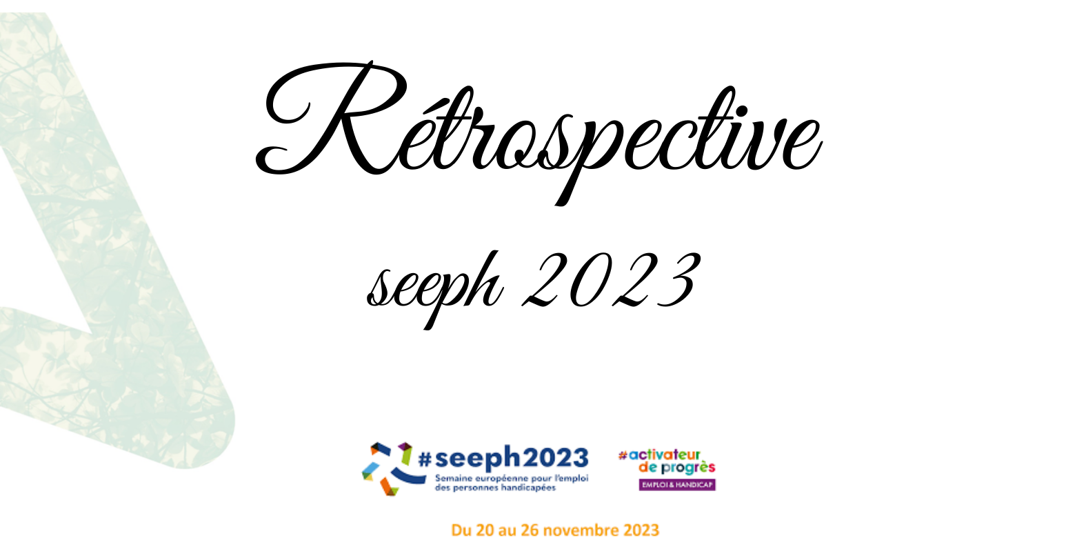 Rétrospective SEEPH 2023 - Cap emploi Pas-de-Calais centre